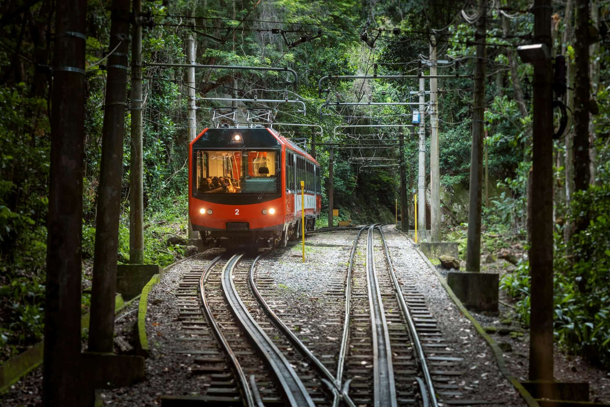 Corcovado Mountain Cog-Railway